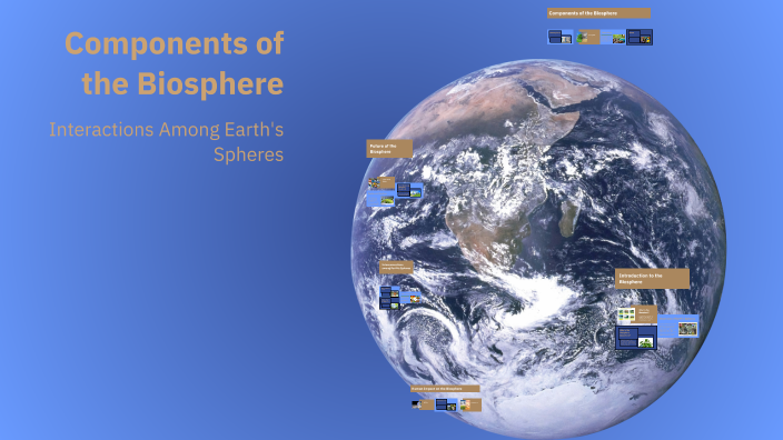 Components of the Biosphere by Катерина Комаренко on Prezi