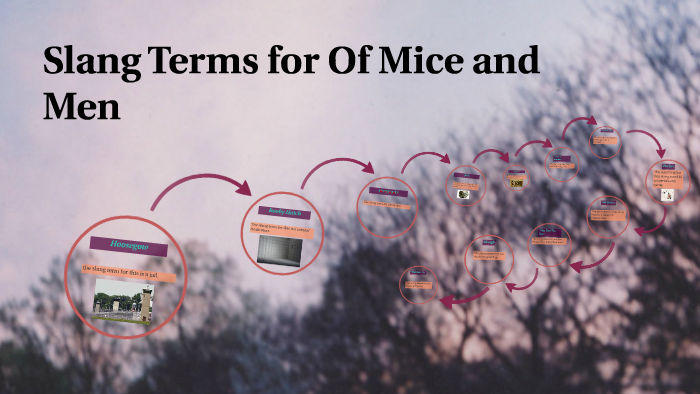 Slang Terms for Of Mice and Men by Erica Daughtry on Prezi