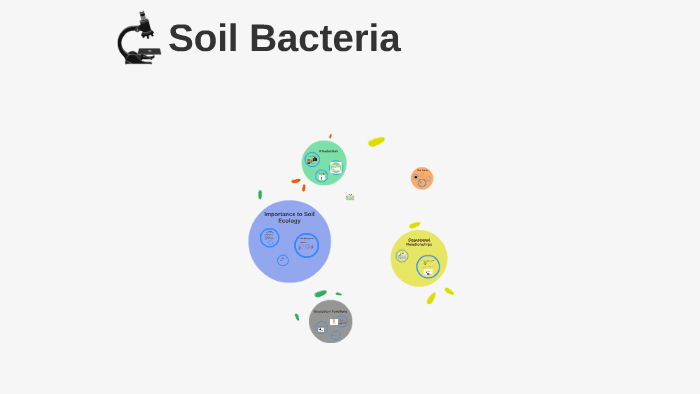 Soil Bacteria by Alexis Enright on Prezi