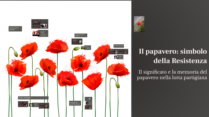 Il papavero: simbolo della Resistenza by Mary Giachetti on Prezi