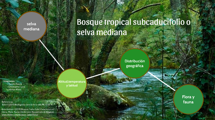 Bosque tropical subcaducifolio by Grupo 2-Décimo Biología-Ecologia on Prezi