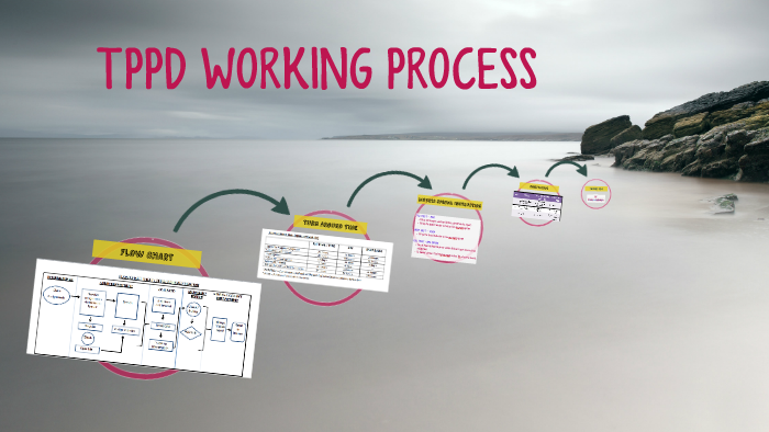 TPPD WORKING PROCESS by NALEENA MANI SHARMA on Prezi