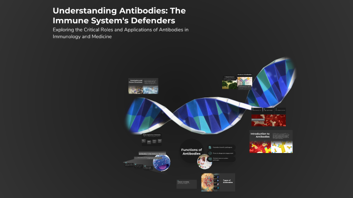 Understanding Antibodies: The Immune System's Defenders by لجين يوسف on ...