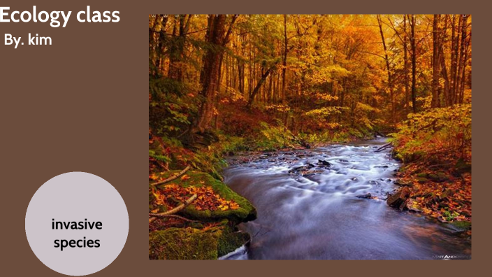 invasive species by Kim Billick on Prezi