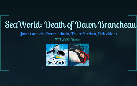 Seaworld Sharing by Jamie Cachuela on Prezi