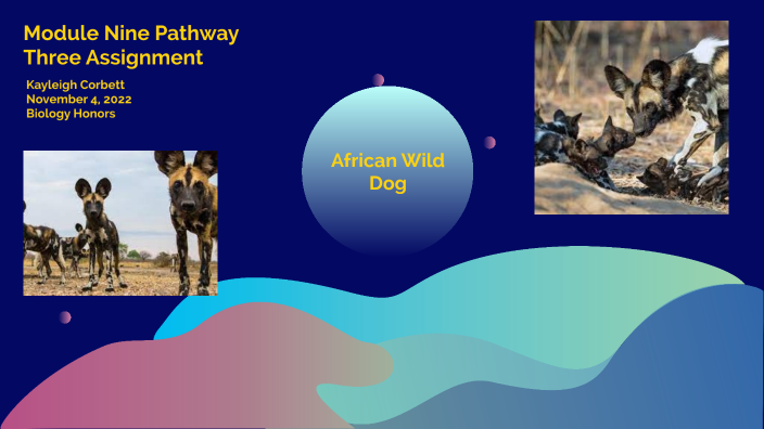 Module Nine Pathway Assignment by K Corbett on Prezi