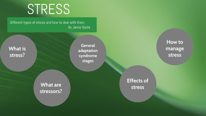 STRESS by Jamie Ojeda on Prezi