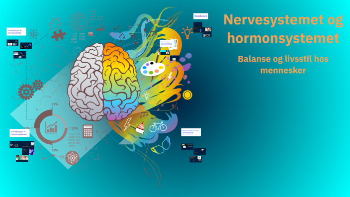 Nervesystemet og hormonsystemet by Raghad fenjan on Prezi