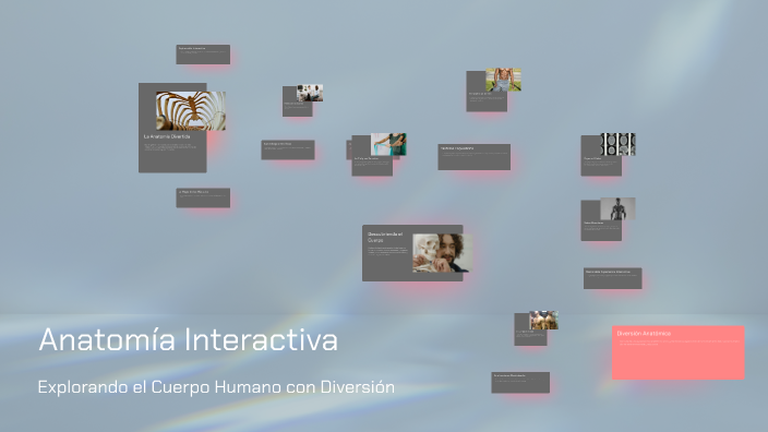 Anatomía Interactiva by ROCIO CANALE on Prezi