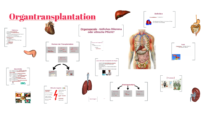 Organtransplantation by Stefanie Rathmann on Prezi