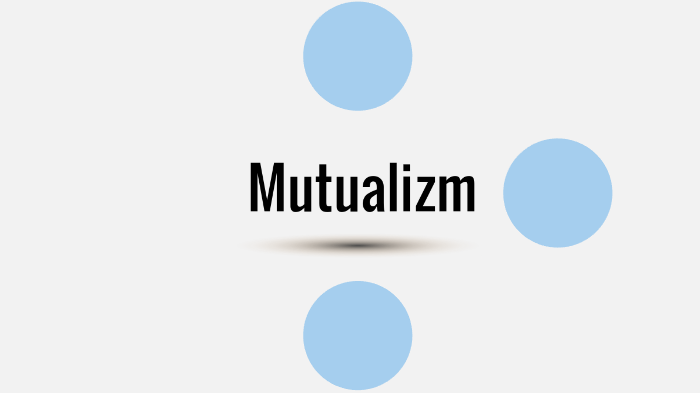 mutualizm by Gabrysia Rozum on Prezi