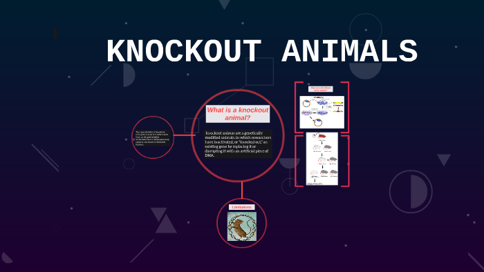 KNOCKOUT ANIMALS by Tamara Martín Romero on Prezi