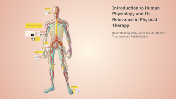 Introduction to Human Physiology and Its Relevance in Physical Therapy ...