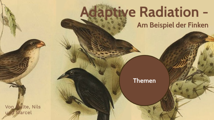 Adaptive Radiation by Marcel Khan on Prezi