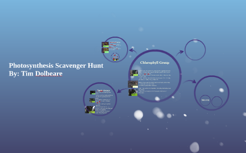 Photosynthesis Scavenger Hunt by tim dolbeare on Prezi