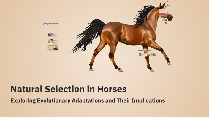 Natural Selection in Horses by Sullivan Ford on Prezi