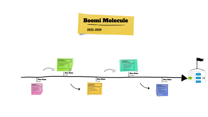 Boomi Molecule By Moran Vashdi On Prezi