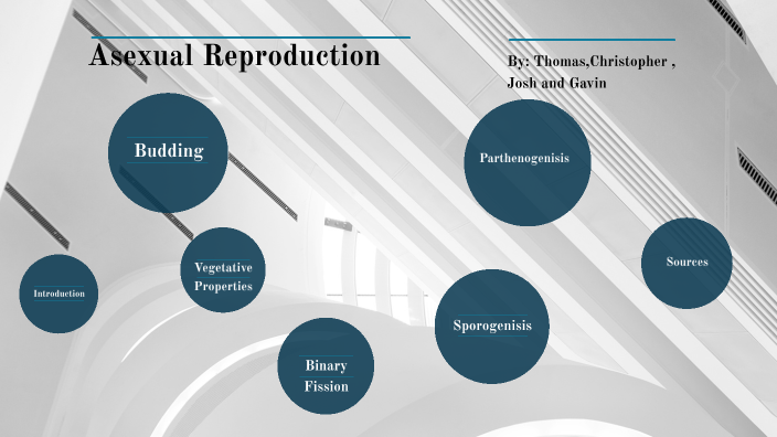 Asexual Reproduction Project by Thomas Chow on Prezi