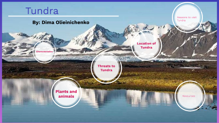 Tundra Biome Presentation by Semmononage on Prezi