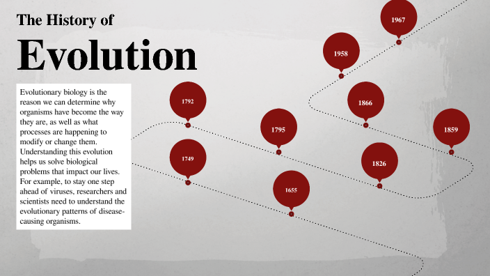 The History of Evolution by Sophia Sauve on Prezi