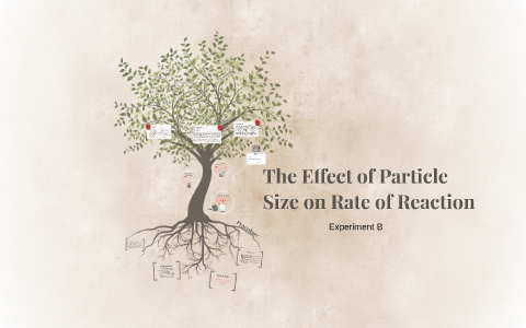 The Effect of Particle Size on Rate of Reaction by Chawalit ...