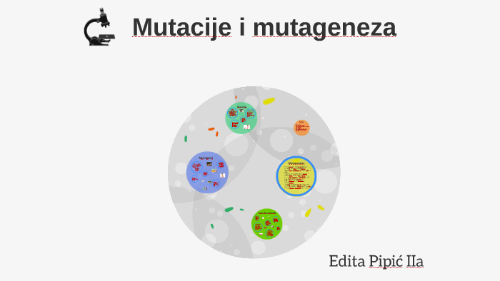 Mutacije i mutageneza by Aida Pipic on Prezi