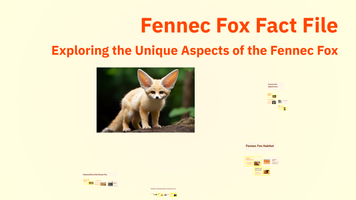 Fennec Fox Fact File by maryum noor on Prezi