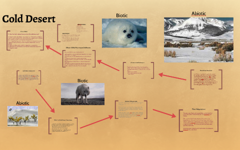 Cold Desert Ecosystems by Luke Angus on Prezi