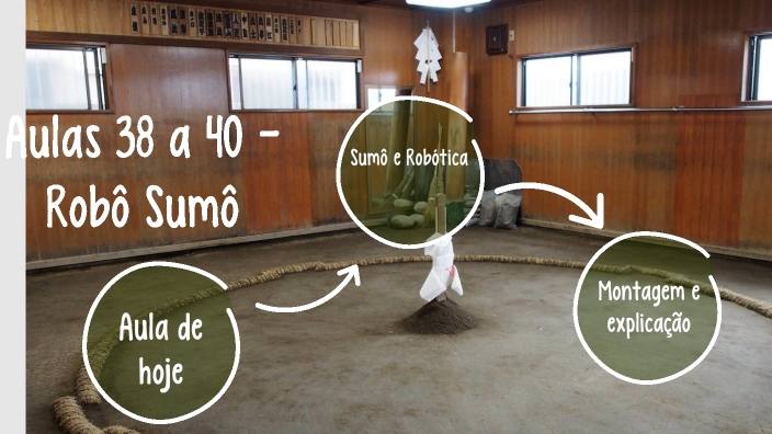 Aulas 38 a 40 - Robô Sumô by DANIEL VITOR VICENTE on Prezi
