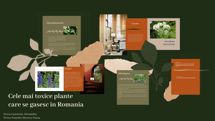 Cele mai toxice plante care se gasesc in Romania by Luminita Perca on Prezi