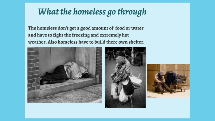 The homeless by Emily Noerr on Prezi