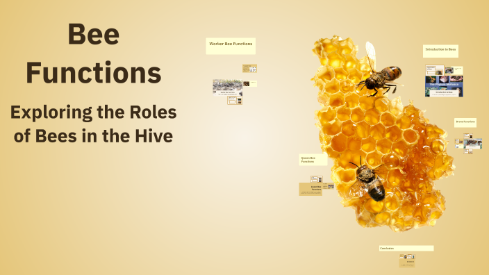 Bee Functions by Igor Piwko on Prezi