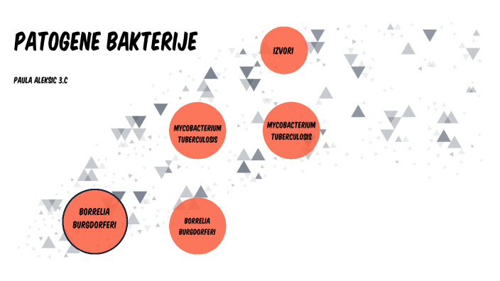PATOGENE BAKTERIJE by paula aleksic on Prezi
