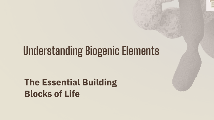 Understanding Biogenic Elements by Nilufar Mamadalieva on Prezi