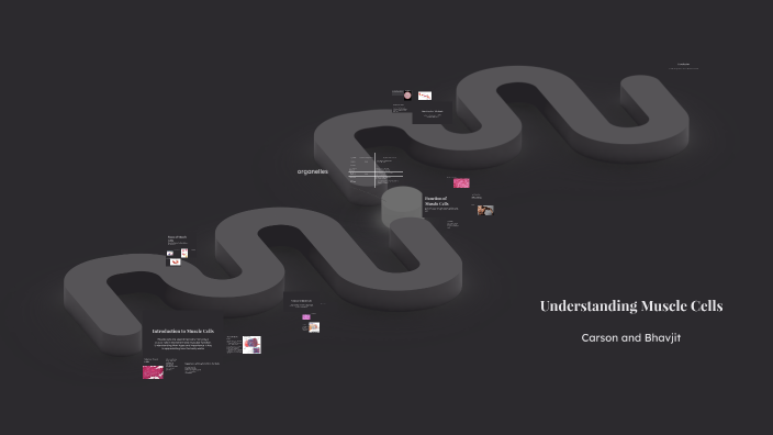 Understanding Muscle Cells by Carson Beal on Prezi