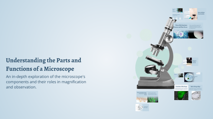 Understanding the Parts and Functions of a Microscope by Gary Farrong ...