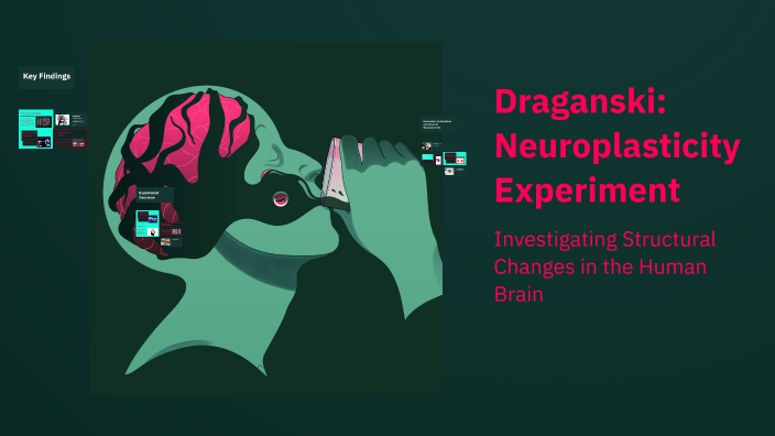 Draganski: Neuroplasticity Experiment by Berhan Gencol on Prezi