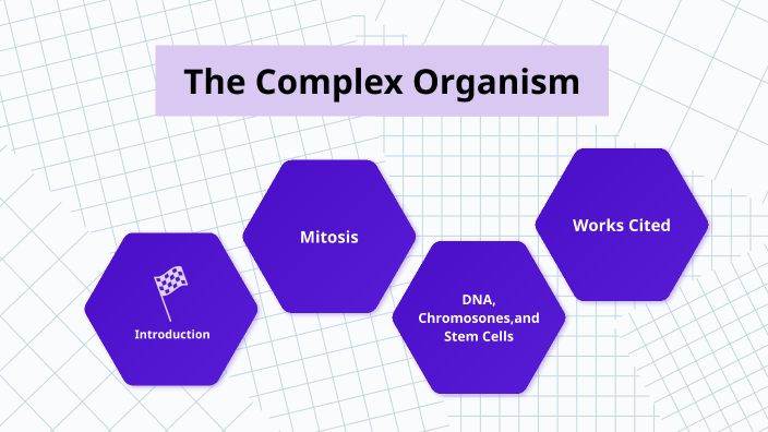 How does a single cell develop into a complex, multicellular organism ...