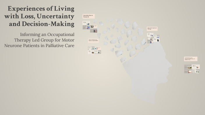 Experiences of Living with Loss, Uncertainty and Decision-Making by ...