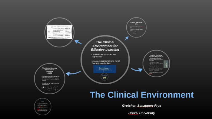 The Clinical Environment by Gretchen Frye on Prezi