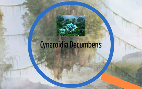 Pandora Food Chain by Jay Dunn on Prezi