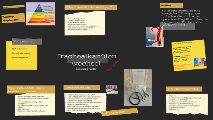 Tk wechsel (Notfall) by Selina Mohr on Prezi