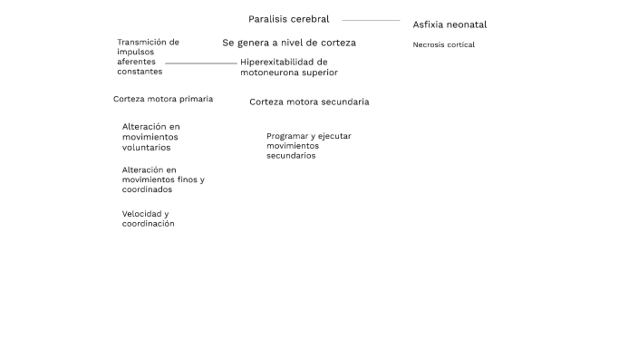 Pato by Manuela Mosquera on Prezi