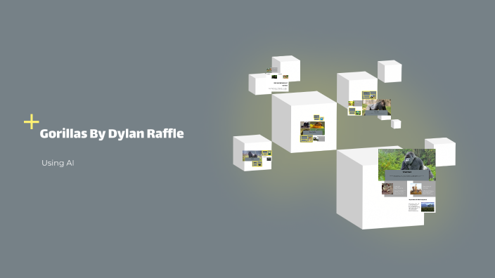 Gorillas by Dylan Raffle on Prezi