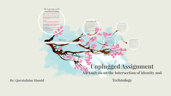 Unplugged Assignment An Analysis on Identity and Technology by ...