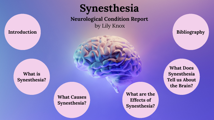 Synesthesia by Lily K on Prezi
