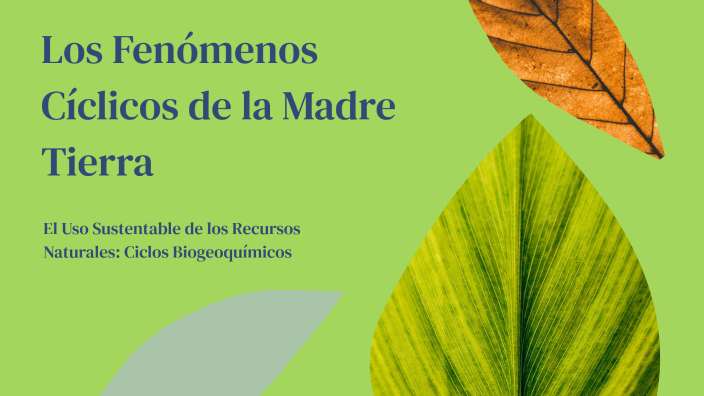 Los Fenómenos Cíclicos de la Madre Tierra by Kevin Gerardo Zeballos ...