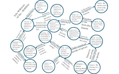 Taxonomy Concept Map by Echo Wilkinson on Prezi