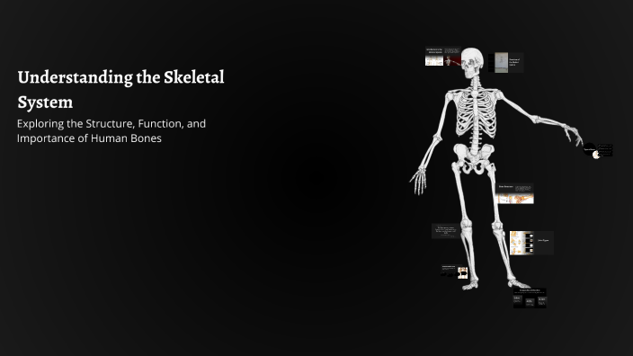 Understanding the Skeletal System by Isabella Olea on Prezi