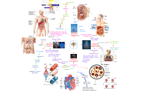mapa integrador 3 by hilario cota ortiz on Prezi